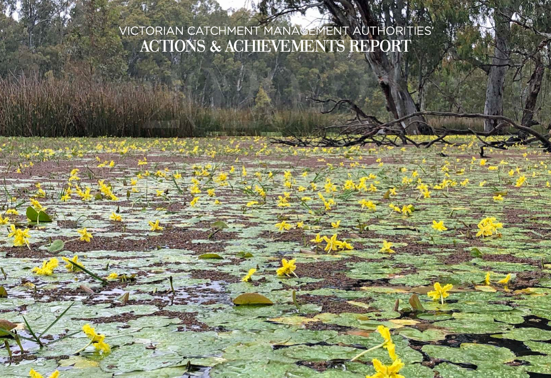 Vic Catchments | Publications